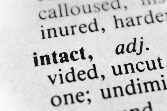 รูปภาพIntact – เลือกดูภาพถ่ายสต็อก เวกเตอร์ และวิดีโอ73,293 | Adobe Stock