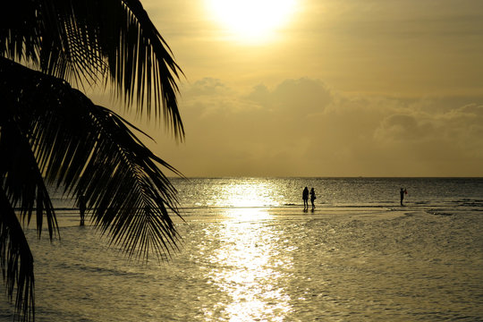 Sumirki-Bilder: Stock-Fotos & -Videos. | Adobe Stock