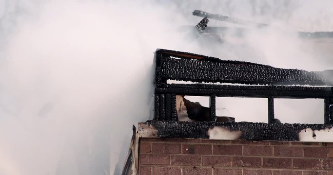 รูปภาพSmoldering – เลือกดูภาพถ่ายสต็อก เวกเตอร์ และวิดีโอ27,101 | Adobe ...