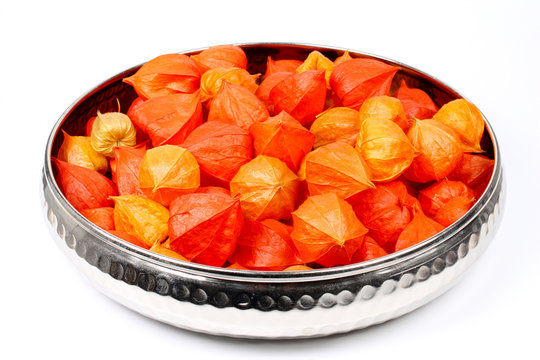 「Judenkirsche」の画像 - 352 件の Stock 写真、ベクターおよびビデオ | Adobe Stock