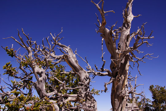 รูปภาพSpectra – เลือกดูภาพถ่ายสต็อก เวกเตอร์ และวิดีโอ1,189 | Adobe Stock