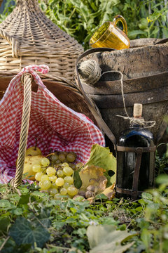 "Ground Shot"-Bilder: Stock-Fotos & -Videos. | Adobe Stock