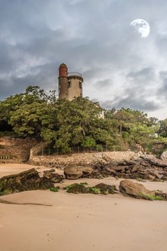 「Plantier」の写真素材 | 49件の無料イラスト画像 | Adobe Stock