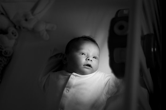 Fascinated Images – Browse 646,059 Stock Photos, Vectors, and Video ...