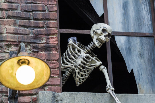 รูปภาพSkellet – เลือกดูภาพถ่ายสต็อก เวกเตอร์ และวิดีโอ94 | Adobe Stock