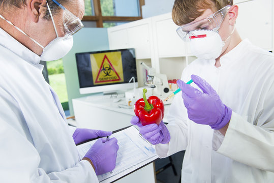 「Genfood」の画像 - 664 件の Stock 写真、ベクターおよびビデオ | Adobe Stock