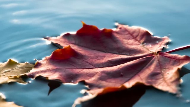 "Grief Images – Browse 270,941 Stock Photos, Vectors, and Video | Adobe ...