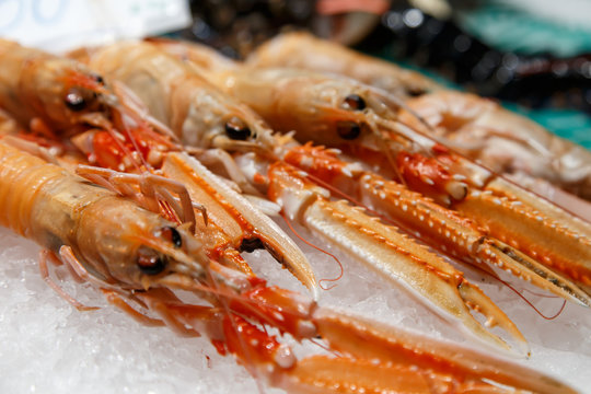 รูปภาพCigala – เลือกดูภาพถ่ายสต็อก เวกเตอร์ และวิดีโอ314 | Adobe Stock