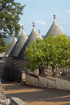 รูปภาพTrullis – เลือกดูภาพถ่ายสต็อก เวกเตอร์ และวิดีโอ214 | Adobe Stock