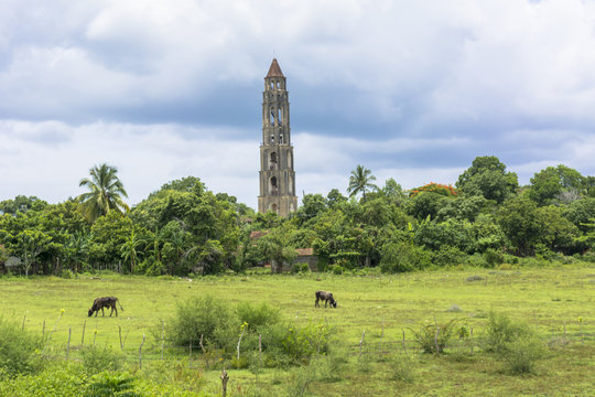 「Manaca」の画像 - 479 件の Stock 写真、ベクターおよびビデオ | Adobe Stock
