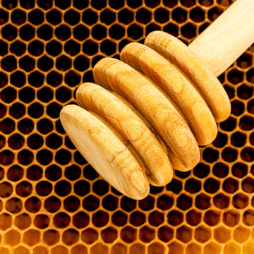 รูปภาพHoneycom – เลือกดูภาพถ่ายสต็อก เวกเตอร์ และวิดีโอ109 | Adobe Stock