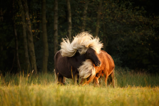 รูปภาพWindfarben – เลือกดูภาพถ่ายสต็อก เวกเตอร์ และวิดีโอ107 | Adobe Stock
