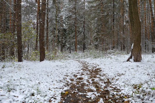 First Snow Images – Browse 94,079 Stock Photos, Vectors, and Video ...