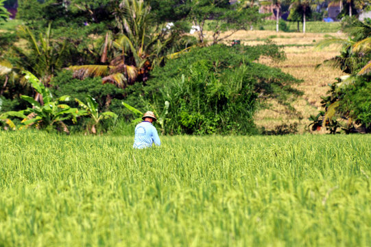 รูปภาพLabeur – เลือกดูภาพถ่ายสต็อก เวกเตอร์ และวิดีโอ688 | Adobe Stock