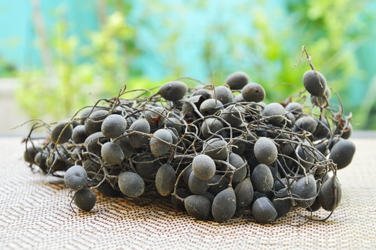 Velvet Tamarind