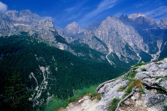 「Trefolo」の写真素材 | 38件の無料イラスト画像 | Adobe Stock