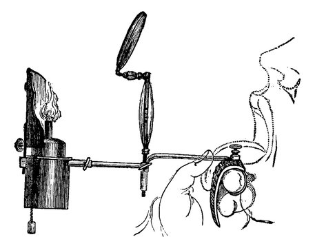 Glottiscope Images – Browse 6 Stock Photos, Vectors, and Video | Adobe ...