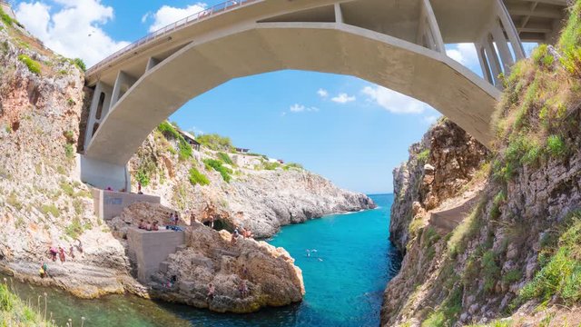 รูปภาพCiolo – เลือกดูภาพถ่ายสต็อก เวกเตอร์ และวิดีโอ377 | Adobe Stock