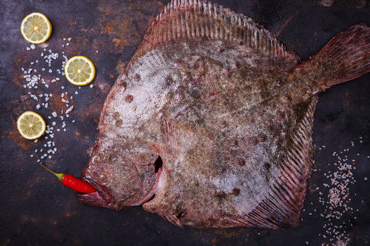 Plaice Images – Parcourir 12,249 le catalogue de photos, vecteurs et ...