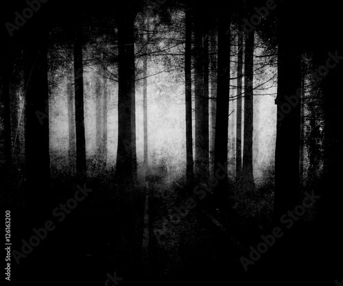 "Black White Scary Halloween Forest Wallpaper" Stock photo and royalty ...