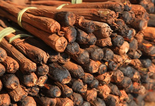 Thegalu Images – Browse 4 Stock Photos, Vectors, and Video | Adobe Stock