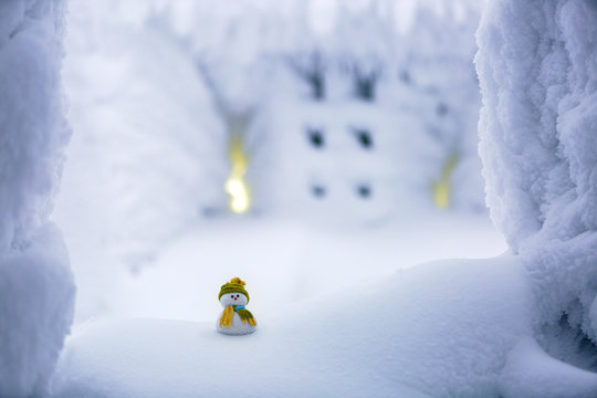 Dignit Images – Browse 61 Stock Photos, Vectors, and Video | Adobe Stock