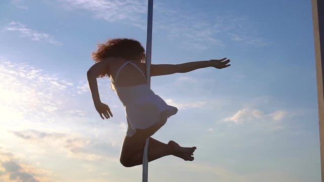 Poledancer Bilder Bläddra Bland 1 554 Stockfoton Vektorer Och Videor