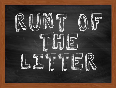 รูปภาพRunt – เลือกดูภาพถ่ายสต็อก เวกเตอร์ และวิดีโอ741 | Adobe Stock