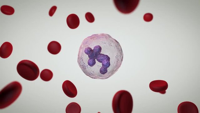 รูปภาพNeutrophil – เลือกดูภาพถ่ายสต็อก เวกเตอร์ และวิดีโอ3,791 | Adobe ...