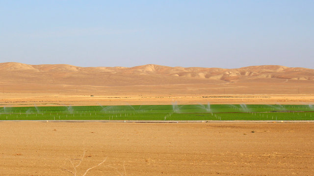 "Desert Agriculture" Images – Browse 688 Stock Photos, Vectors, and ...