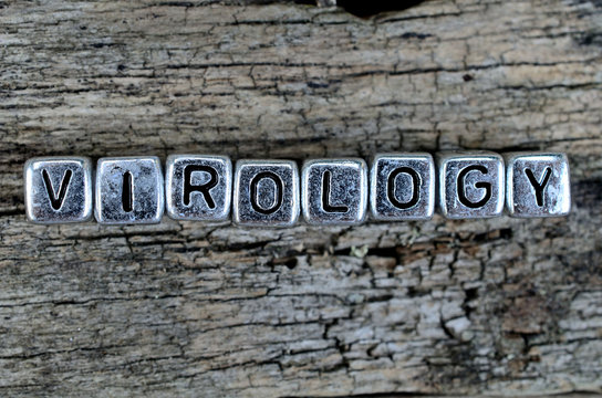 Virology Images – Browse 145,136 Stock Photos, Vectors, and Video ...