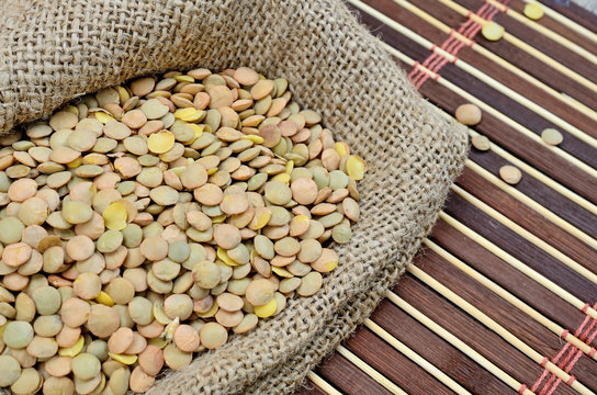 รูปภาพLentin – เลือกดูภาพถ่ายสต็อก เวกเตอร์ และวิดีโอ204 | Adobe Stock