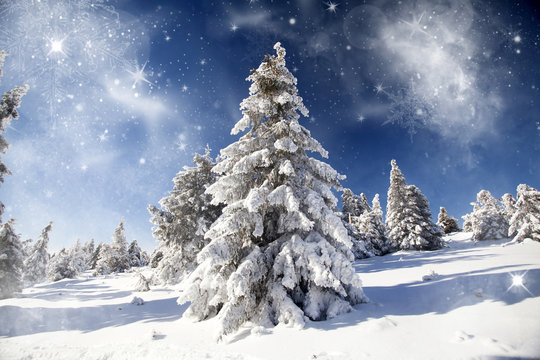 Imágenes de Enero: descubre bancos de fotos, ilustraciones, vectores y ...