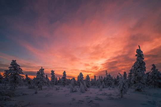 67,765 BEST Snowscape IMAGES, STOCK PHOTOS & VECTORS | Adobe Stock