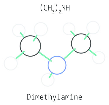 Dimethylamine Lewis Structure