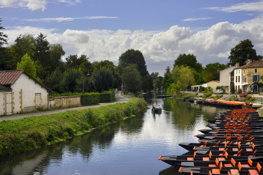 รูปภาพCoulon – เลือกดูภาพถ่ายสต็อก เวกเตอร์ และวิดีโอ814 | Adobe Stock