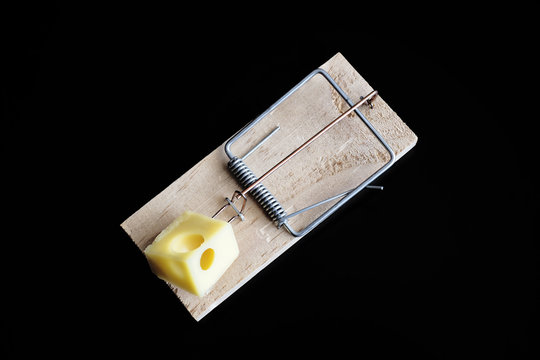 「Ratonera」の画像 - 130 件の Stock 写真、ベクターおよびビデオ | Adobe Stock