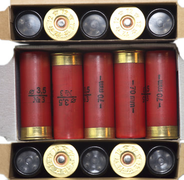 12Mm Images – Browse 397 Stock Photos, Vectors, and Video | Adobe Stock