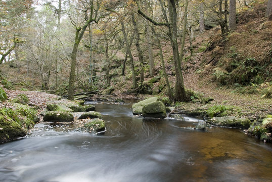 รูปภาพBurbage – เลือกดูภาพถ่ายสต็อก เวกเตอร์ และวิดีโอ382 | Adobe Stock
