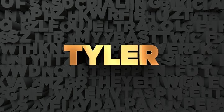 รูปภาพTyler – เลือกดูภาพถ่ายสต็อก เวกเตอร์ และวิดีโอ661 | Adobe Stock