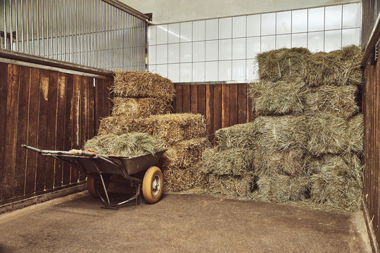 Inside Barn Bilder – Durchsuchen 23,600 Archivfotos, Vektorgrafiken und ...