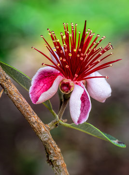 500Px Bilder – Durchsuchen 1,132 Archivfotos, Vektorgrafiken und Videos ...