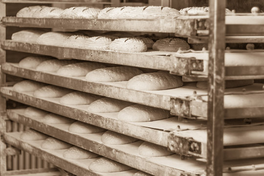 รูปภาพLeib – เลือกดูภาพถ่ายสต็อก เวกเตอร์ และวิดีโอ2,246 | Adobe Stock