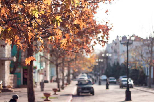 「Autom」の写真素材 | 260件の無料イラスト画像 | Adobe Stock