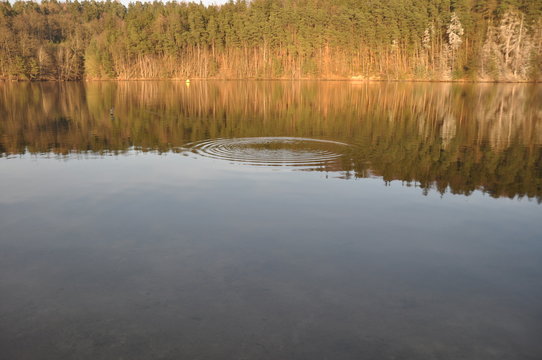 「Wasserkreise」の写真素材 | 45件の無料イラスト画像 | Adobe Stock