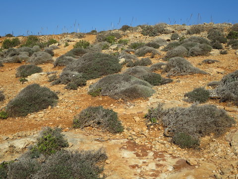 Dyka Images – Browse 36 Stock Photos, Vectors, and Video | Adobe Stock