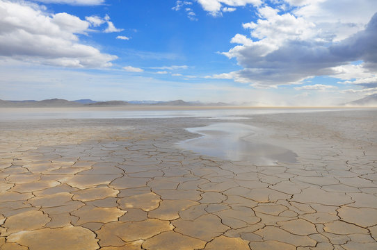 Ruth photos, images, assets | Adobe Stock