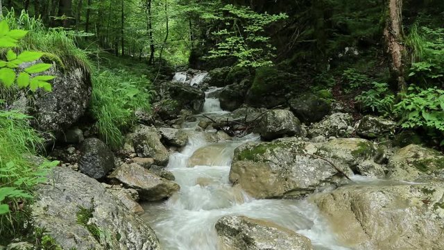 Kesselbach Images – Browse 77 Stock Photos, Vectors, and Video | Adobe ...