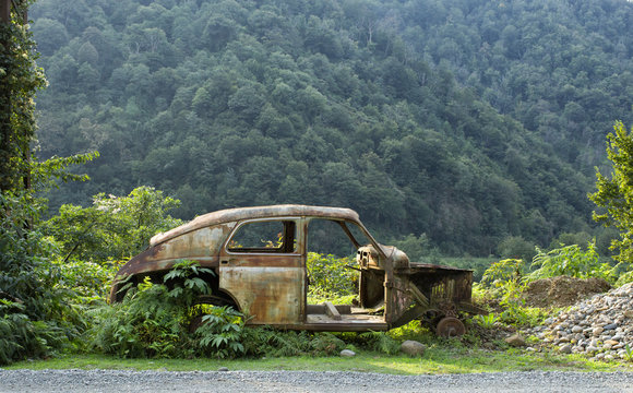 Diliska Bilder – Durchsuchen 6 Archivfotos, Vektorgrafiken und Videos ...