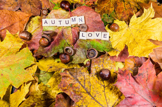 I Love You Autumn